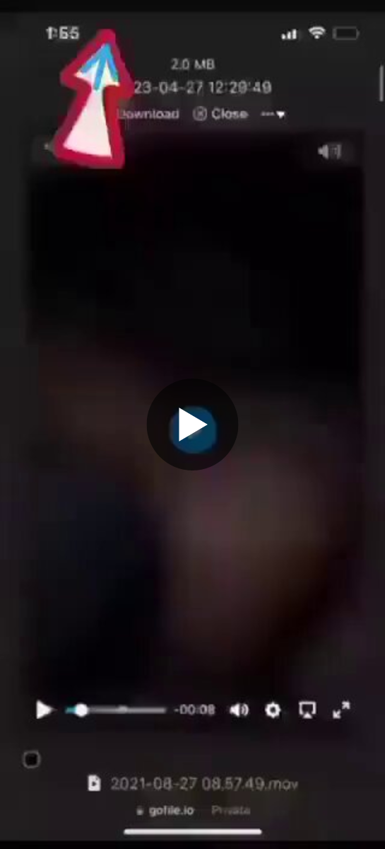 Oseias Pedroso On X Jaden Newman And Mangodrea Leaks Saved My Summer