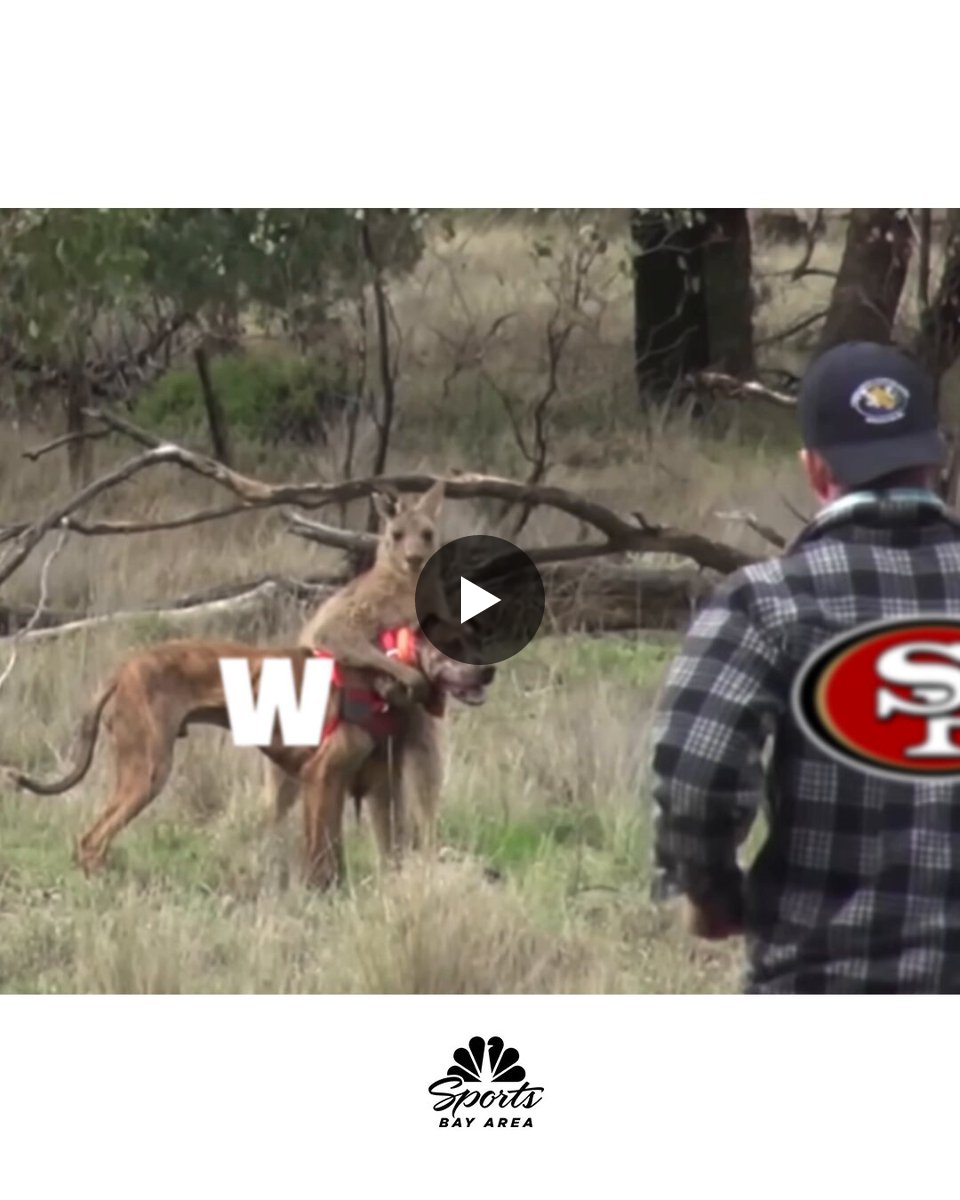 49ers on NBCS on X: 